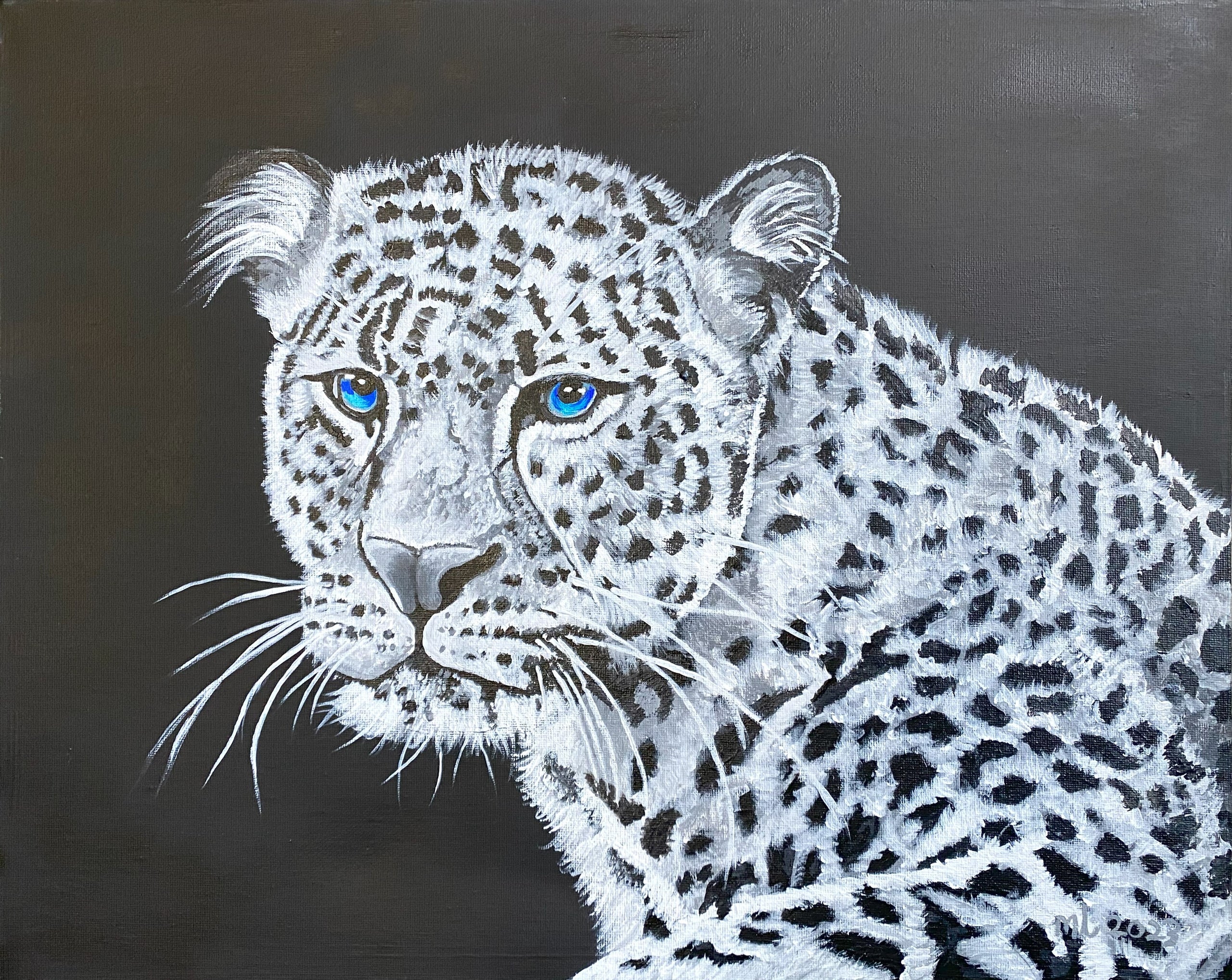 Monochromatic Leopard Michelle Loschiavo DONUT Studios | DONUT Studios